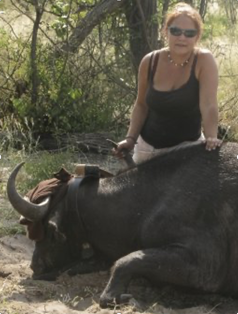 Keynote Speakers | 8th International Bio-Logging Science Symposium (BLS8)